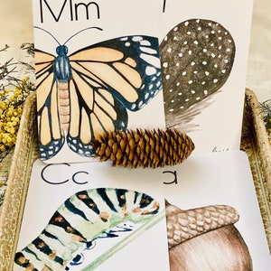 Alphabet Nature Flashcards, Alphabet, Nature, Flashcards, Digital DIY ...