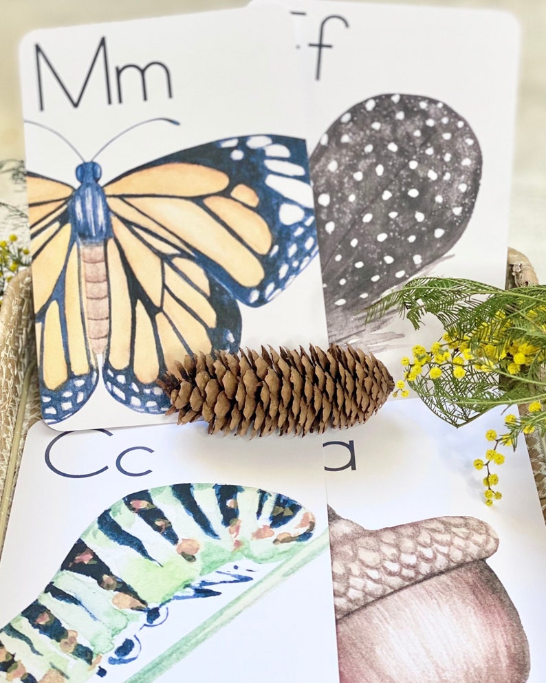 Alphabet Nature Flashcards, Alphabet, Nature, Flashcards, Digital DIY ...