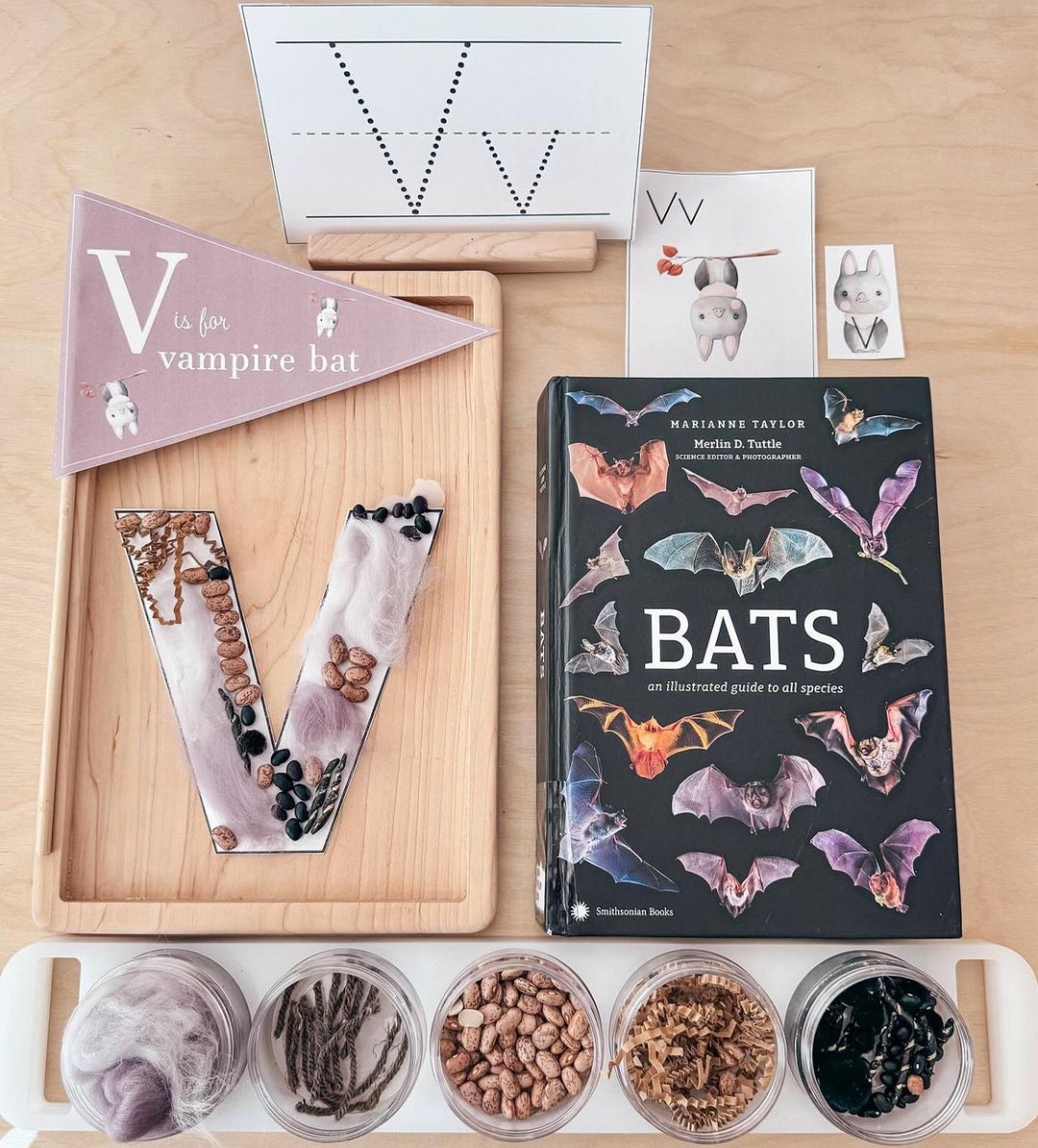 V LETTER BASKET V is for Vampire Bat Alphabet Learning Preschool ...