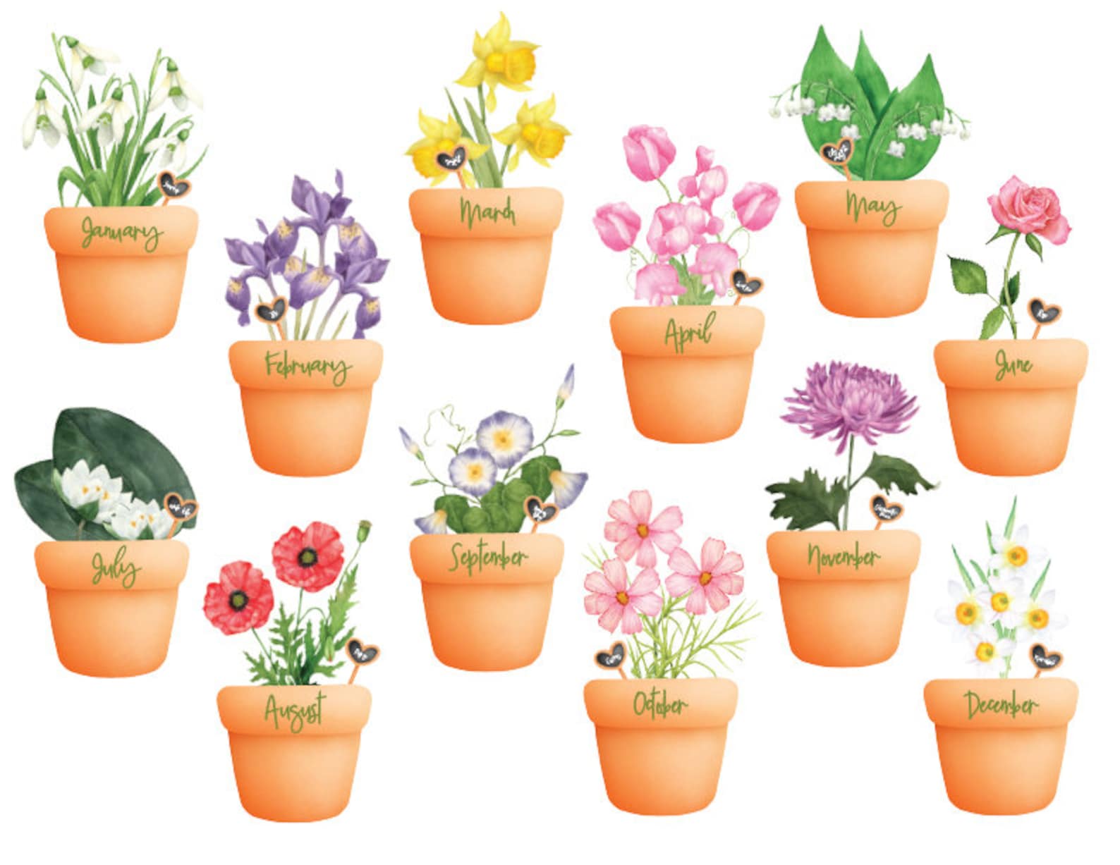 Birthday Month Flower Birthday Display Birthday Chart - Etsy Australia