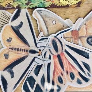 Large Moth Cut Outs, Moth Wall Decor, Printable, Nature Printables ...