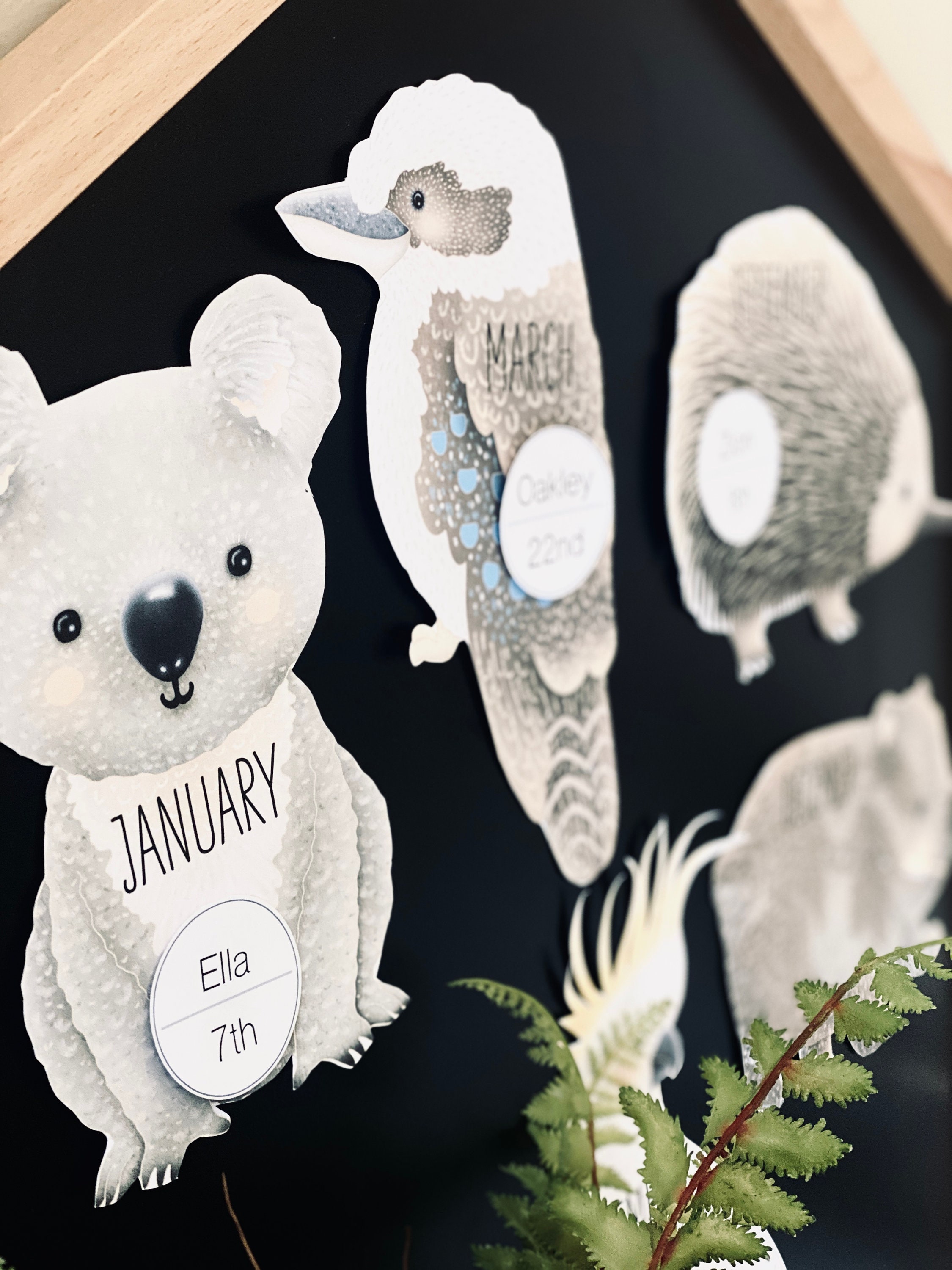AUSTRALIAN ANIMAL Birthday Display Birthday Chart - Etsy Australia