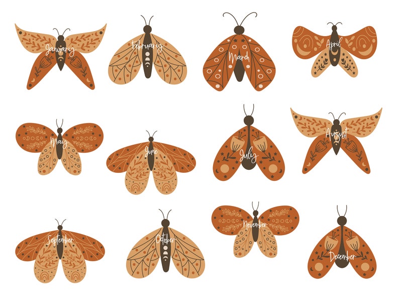 Boho Butterfly Birthday Display Birthday Chart Butterflies - Etsy