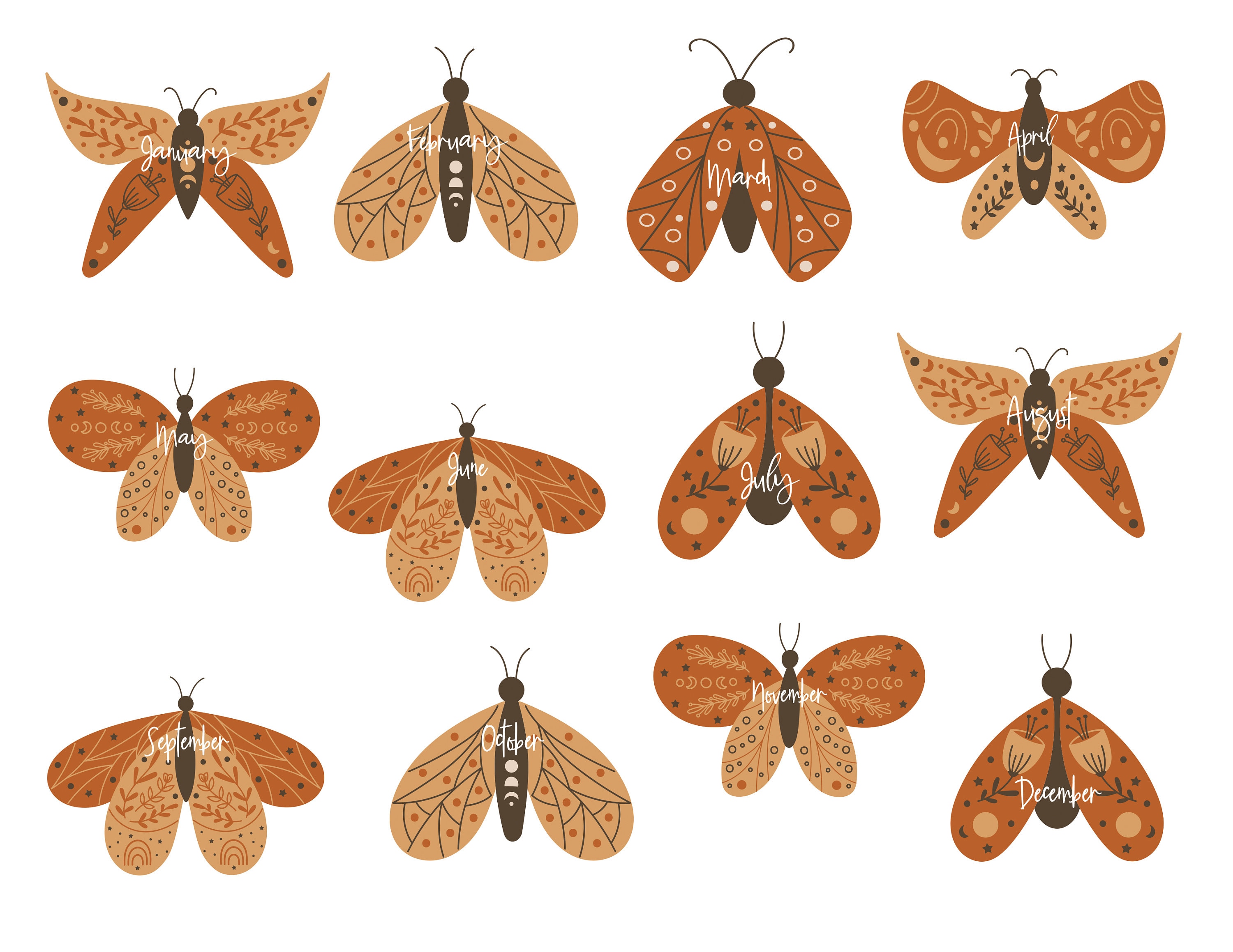 Boho Butterfly Birthday Display | Birthday Chart | Butterflies ...