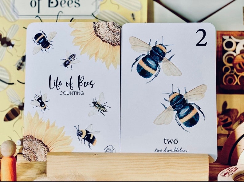 Bee Number Flashcards, Bees, Nature, Flashcards, Digital DIY, Counting ...