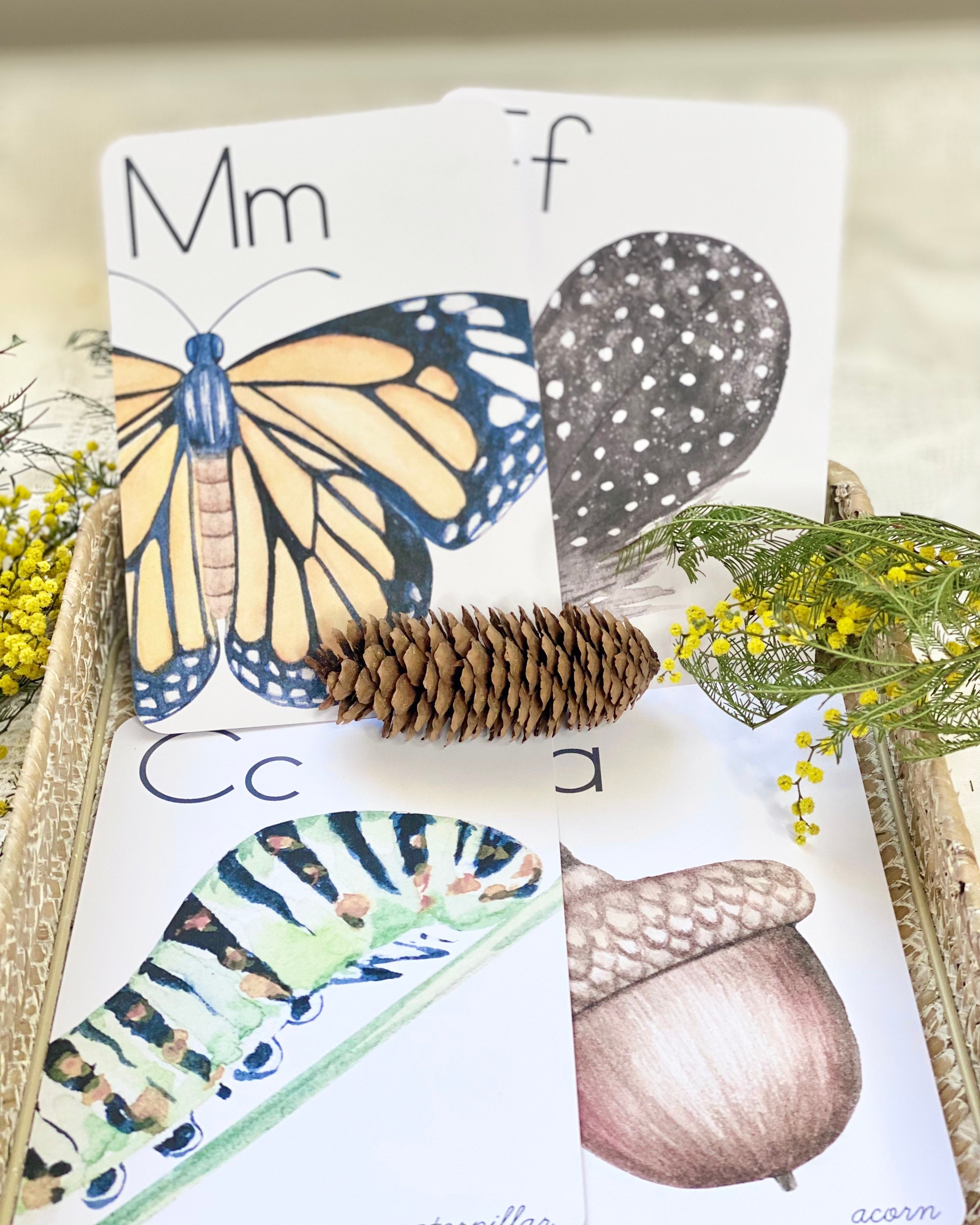 Alphabet Nature Flashcards Alphabet Nature Flashcards | Etsy