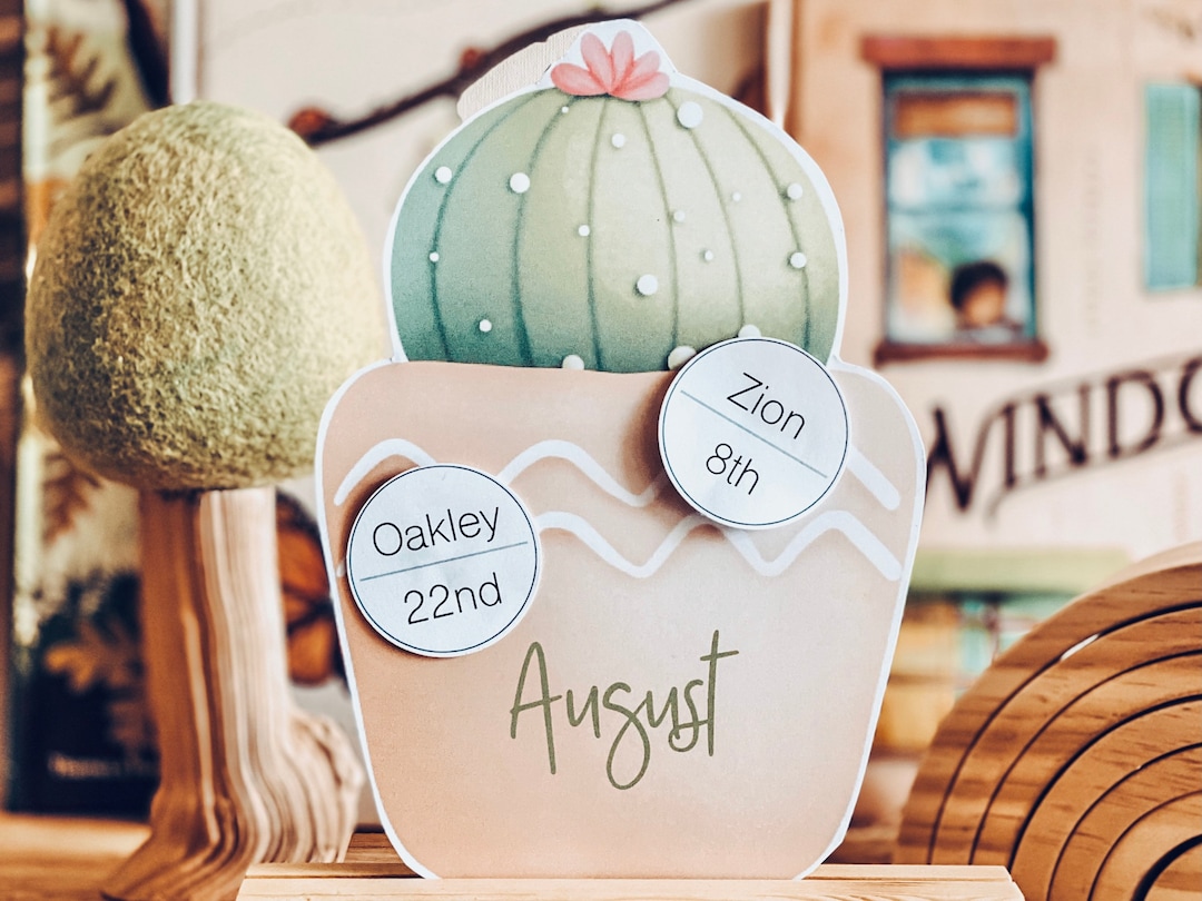 Boho Cactus Birthday Display | Birthday Chart | Cactus | Preschool ...