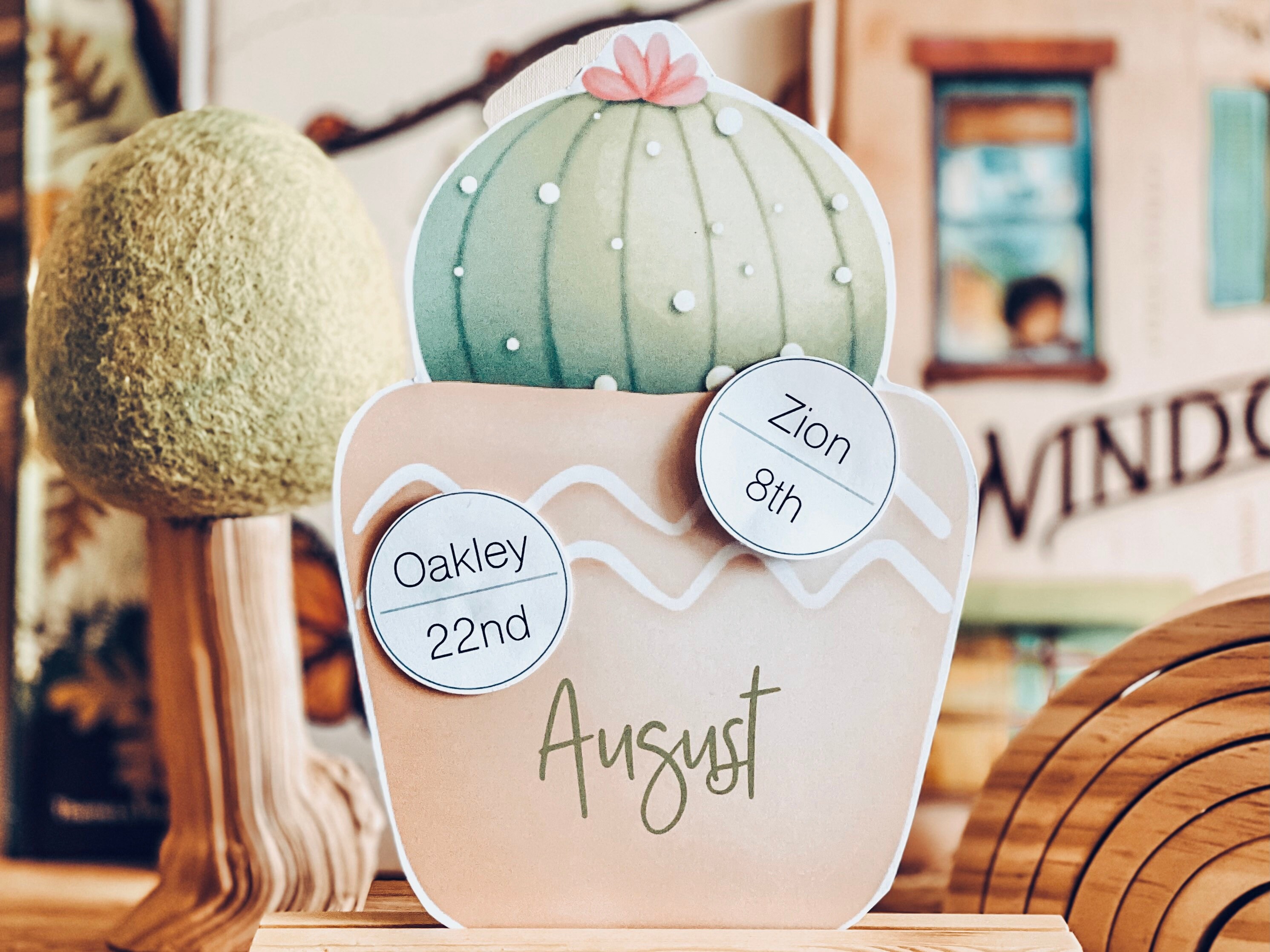 Boho Cactus Birthday Display Birthday Chart Cactus - Etsy