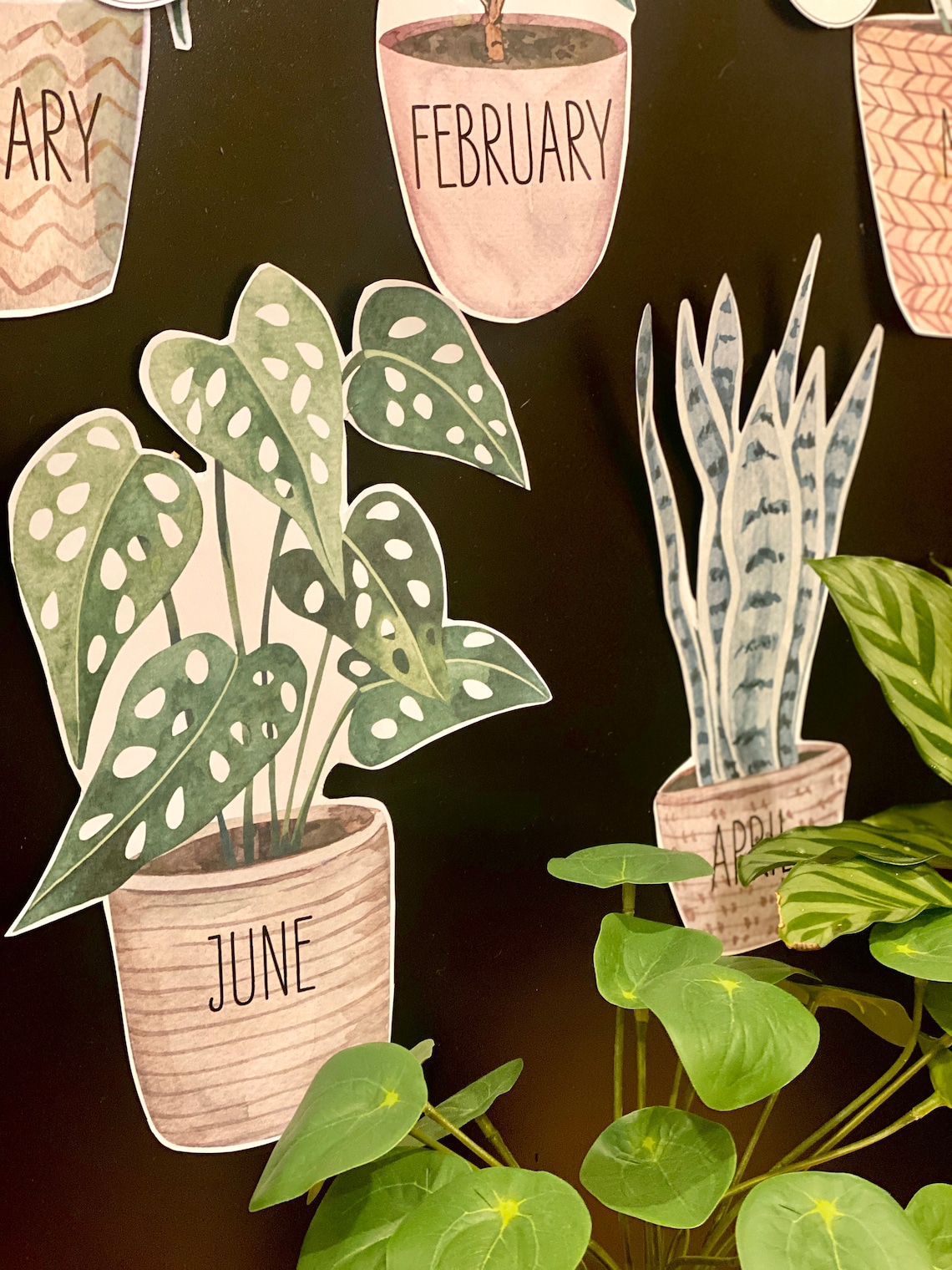BOHO BOTANY Birthday Display, Birthday Chart, Plants Themed Classroom ...