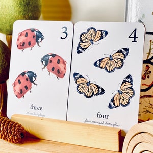 Minibeast Number Flashcards, Bugs, Insects, Nature, Counting Flashcards ...