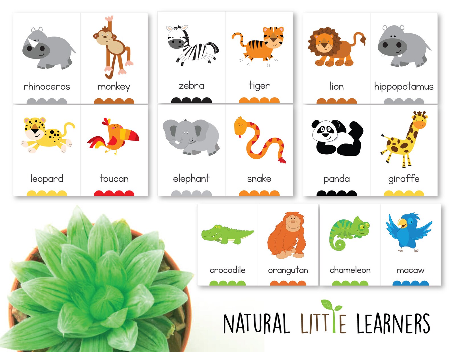 Jungle Animal Flash Cards In the Jungle Flash cards | Etsy