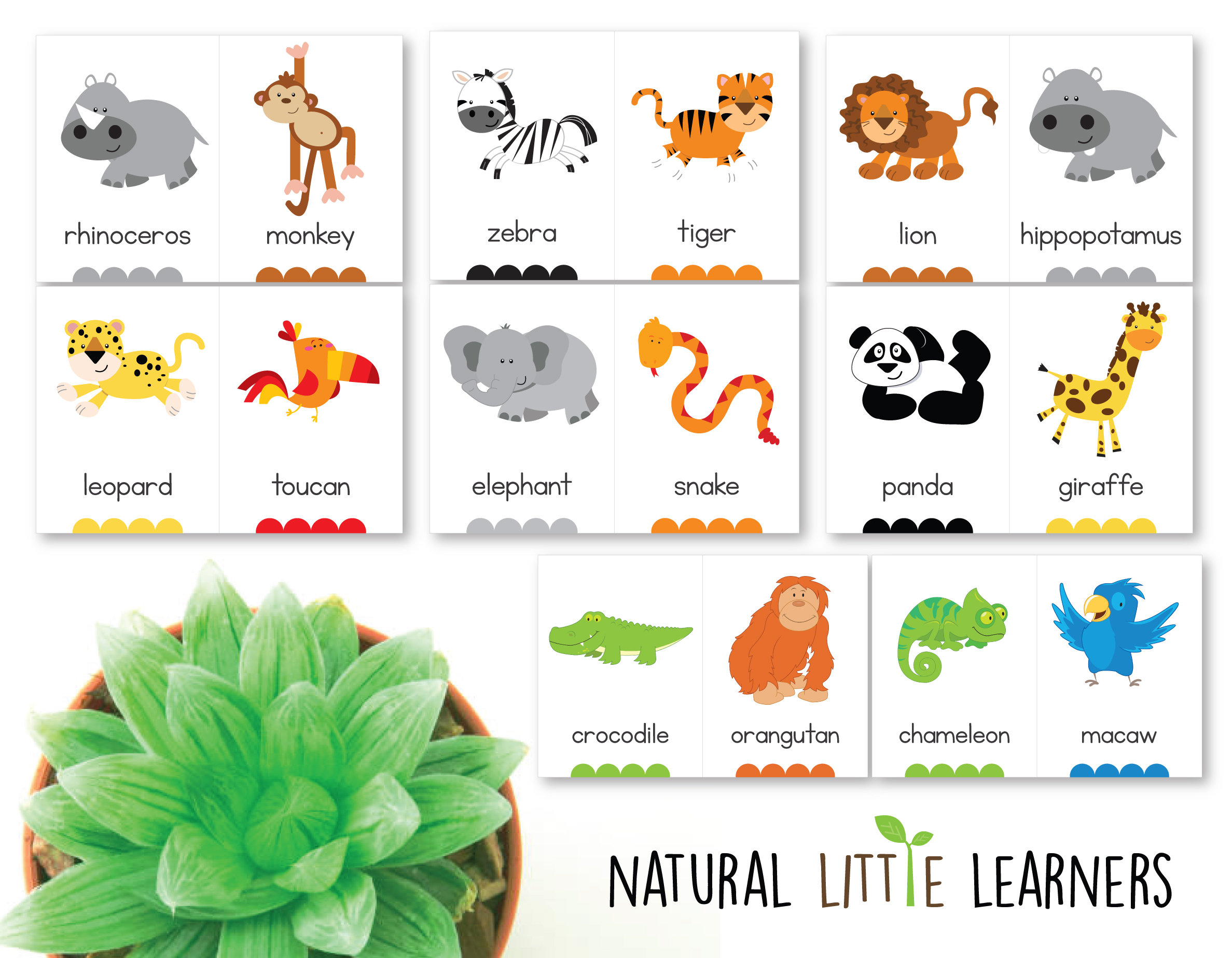 Jungle Animal Flash Cards In the Jungle Flash cards | Etsy