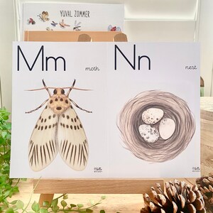 Nature Alphabet Posters | Preschool | School Notice Board | Alphabet ...