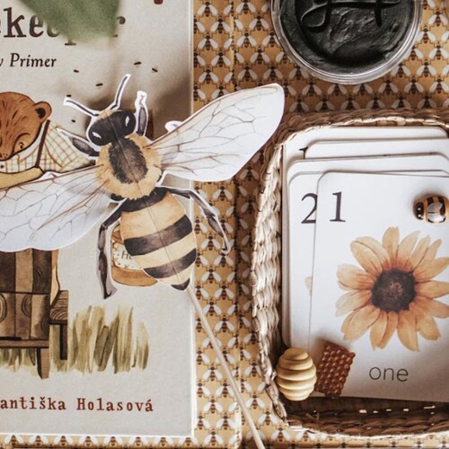 Ladybug Unit Study Bundle Nature Study Homeschool Learning - Etsy