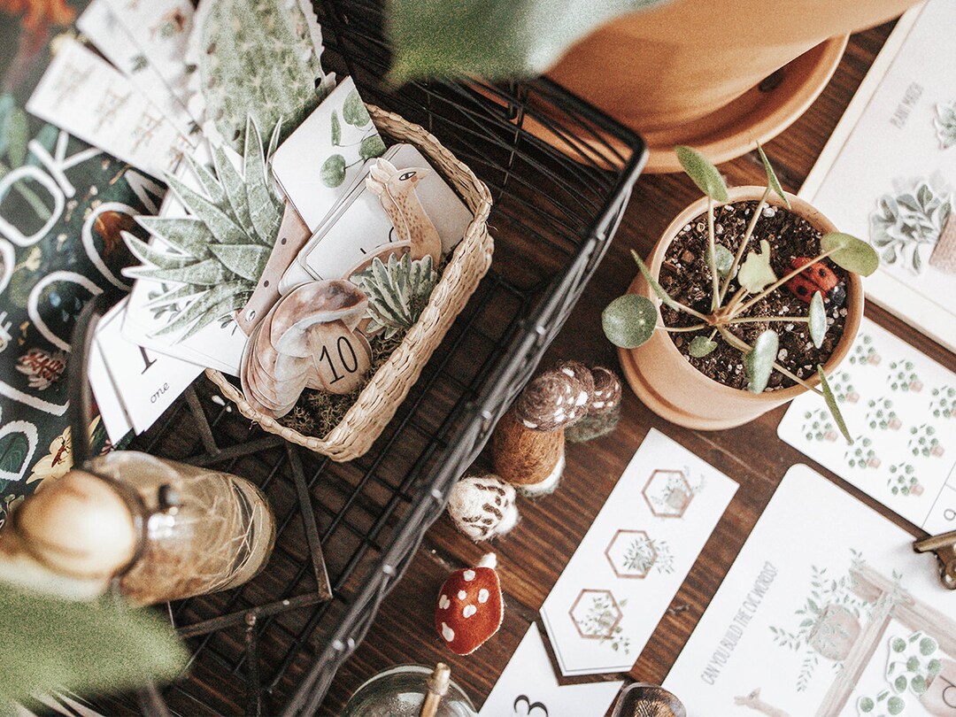 Botany Morning Basket Activities, Homeschool Resources, Morning Baskets ...