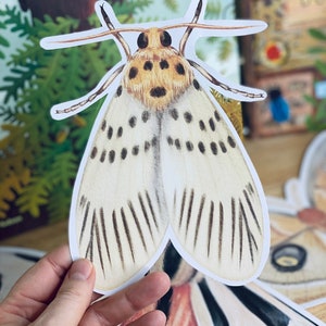 Large Moth Cut Outs, Moth Wall Decor, Printable, Nature Printables ...
