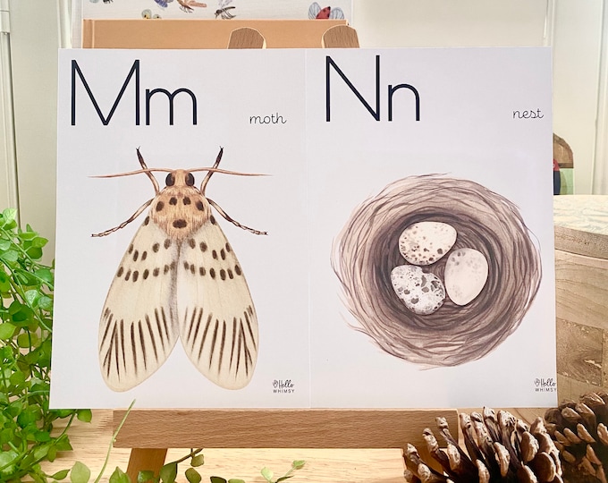 Nature Alphabet Posters Preschool School Notice Board - Etsy