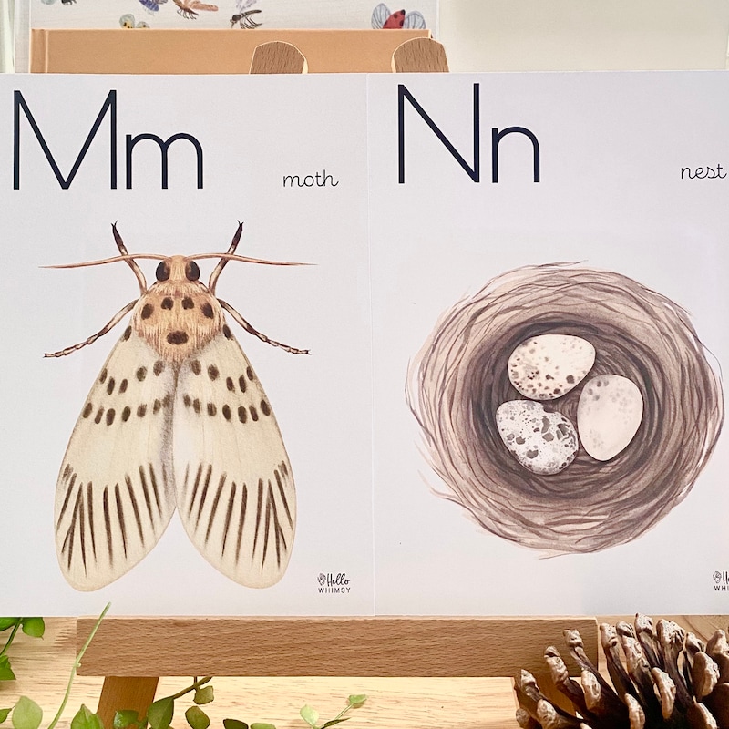 Alphabet Poster - Etsy