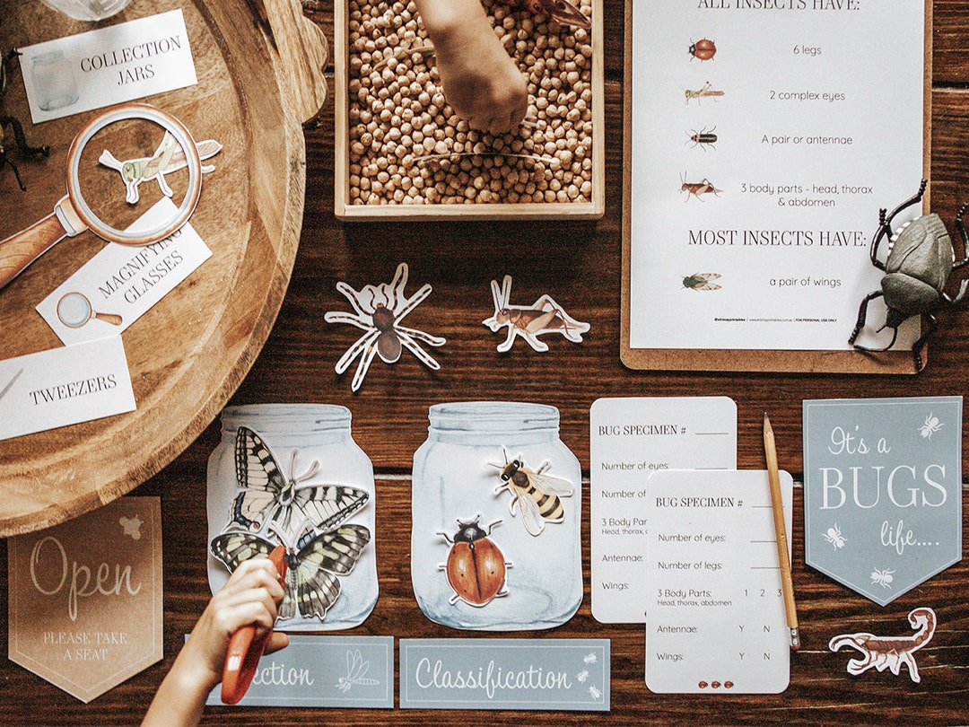 Entomology Lab Dramatic Play Set | Dramatic Play Set | Pretend Play ...