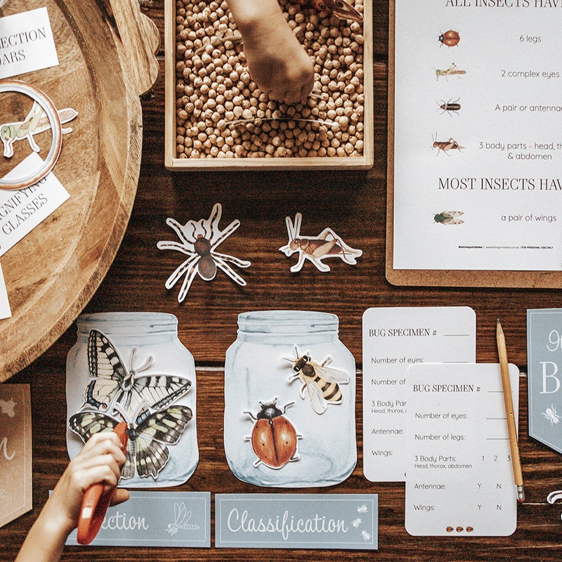 Realistic Insect Toys - Etsy