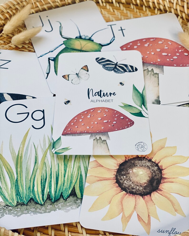 Alphabet Nature Flashcards Alphabet Nature Flashcards | Etsy