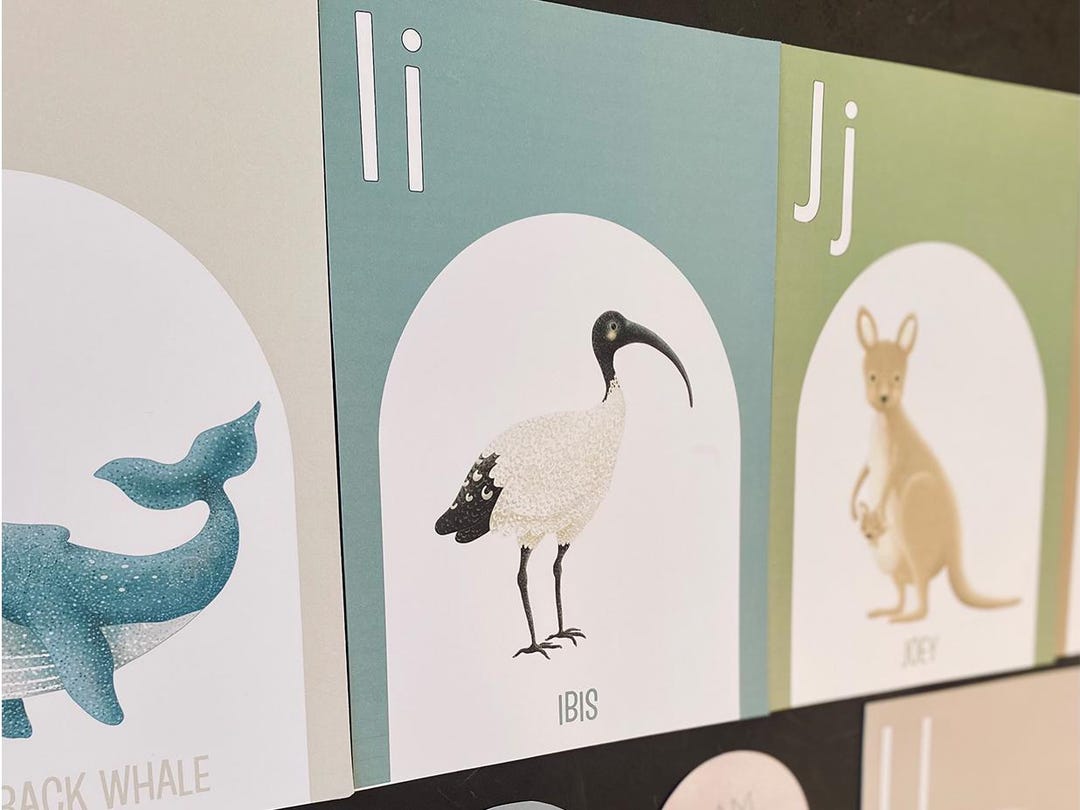 AUSTRALIAN BUSH Alphabet Posters | Alphabet | Australian | Koala ...