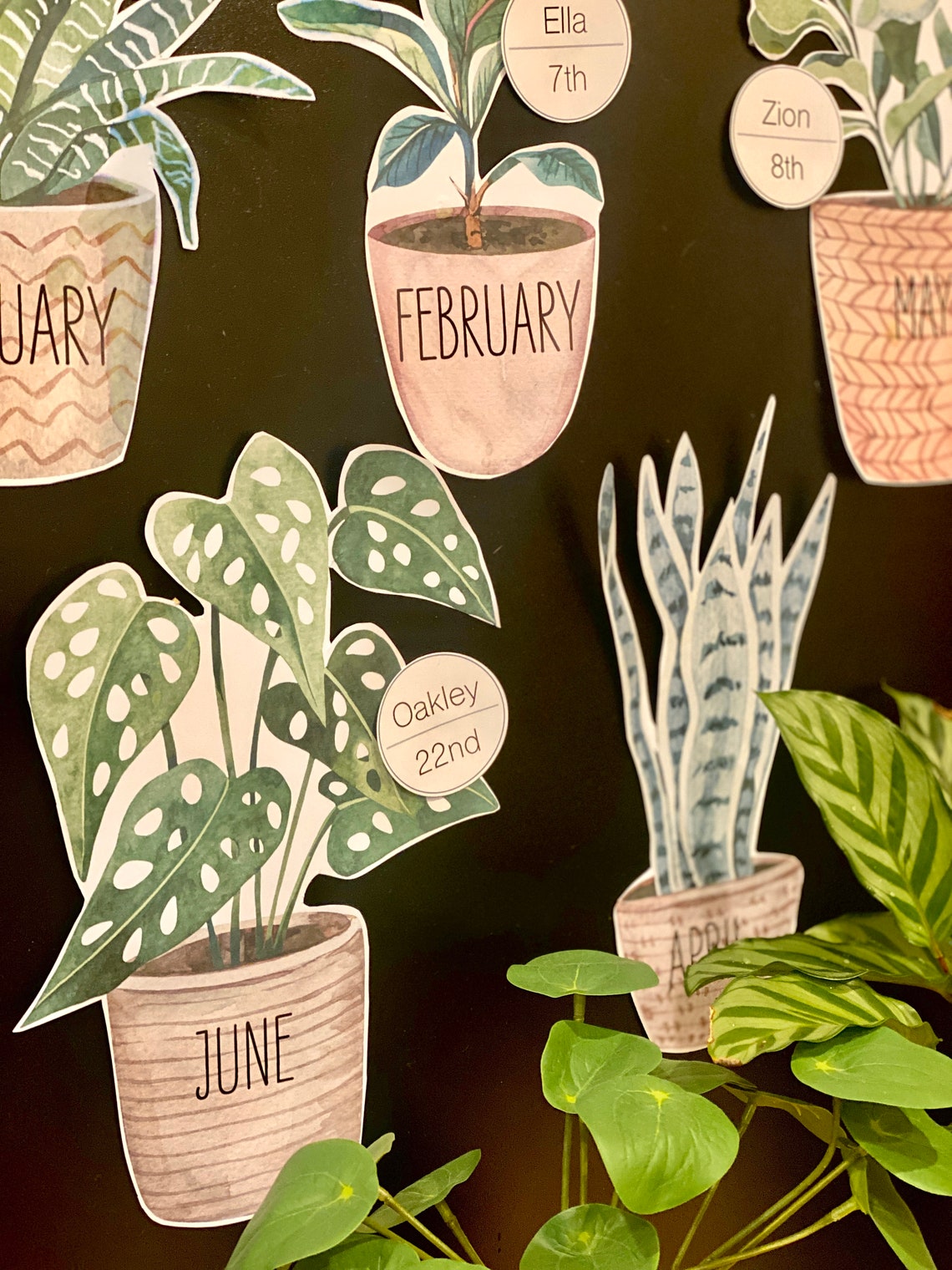 BOHO BOTANY Birthday Display, Birthday Chart, Plants Themed Classroom ...