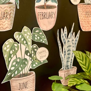 BOHO BOTANY Birthday Display, Birthday Chart, Plants Themed Classroom ...