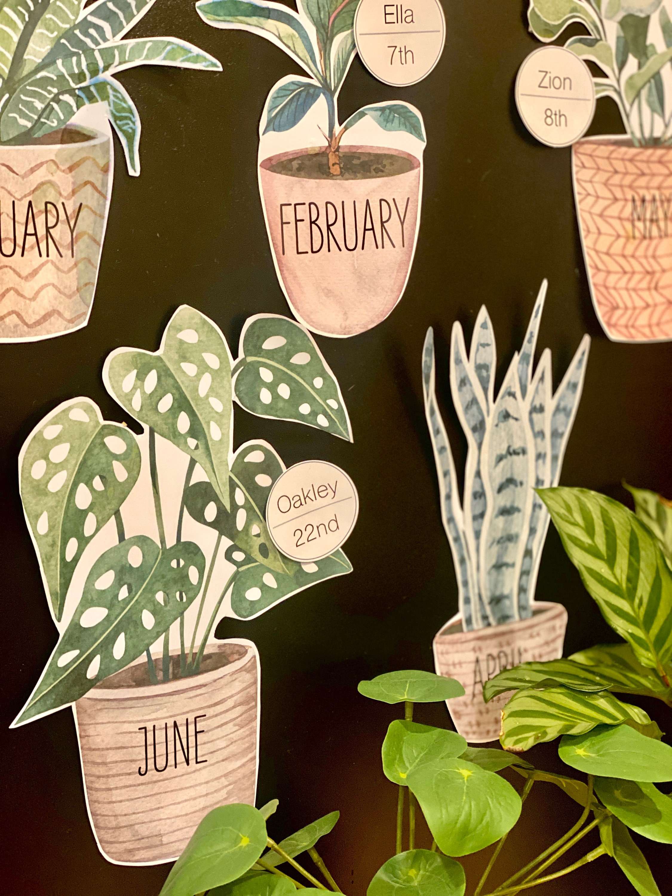BOHO BOTANY Birthday Display Birthday Chart Plants Boho - Etsy Australia