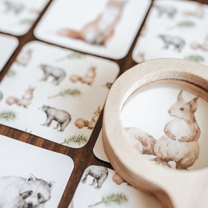 Forestry Morning Basket Activities, Homeschool Resources, Morning ...