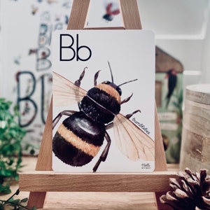 Alphabet Nature Flashcards, Alphabet, Nature, Flashcards, Digital DIY ...