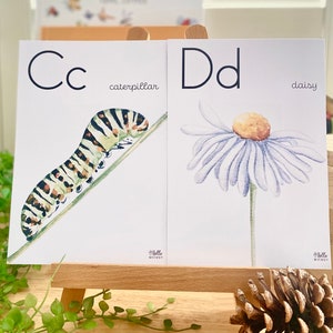 Nature Alphabet Posters | Preschool | School Notice Board | Alphabet ...