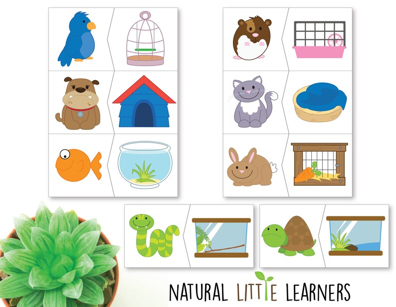 Pet Home Matching Puzzle Matching Game Preschool Learning | Etsy