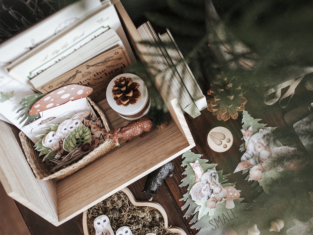 Forestry Morning Basket Activities, Homeschool Resources, Morning ...