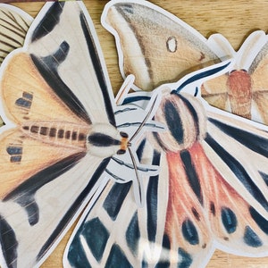 Large Moth Cut Outs, Moth Wall Decor, Printable, Nature Printables ...