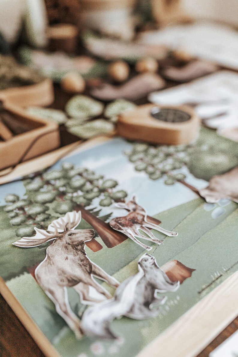 Forestry Morning Basket Activities, Homeschool Resources, Morning ...