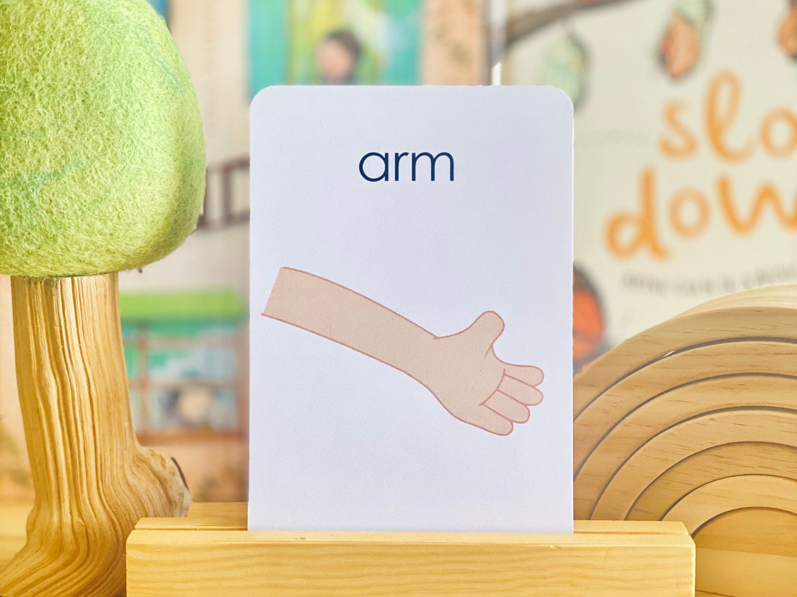 My Body Flash Cards Boy and Girl Body Parts School - Etsy