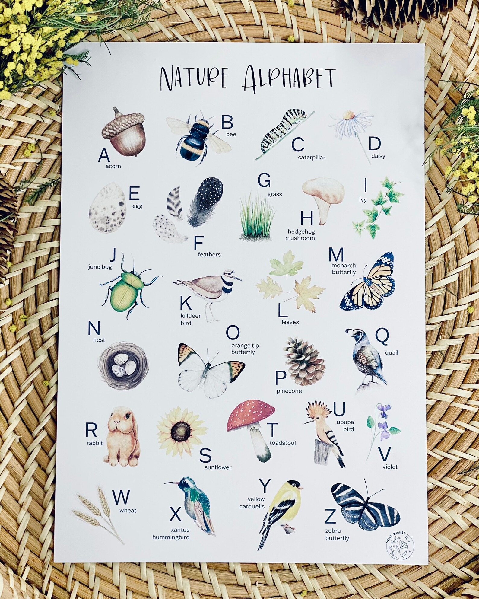 Nature Alphabet Illustrations Nature Alphabet Poster Nature - Etsy