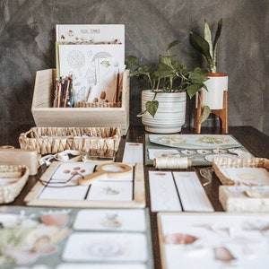 Nature Science Morning Basket Activities, Homeschool Resources, Morning ...