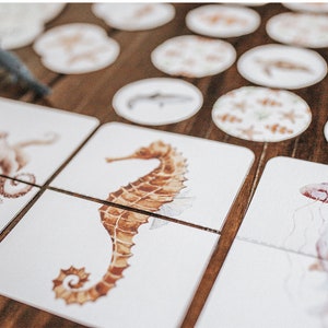 Oceanography Morning Basket Activities, Homeschool Resources, Morning ...