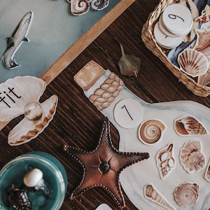 Oceanography Morning Basket Activities, Homeschool Resources, Morning ...