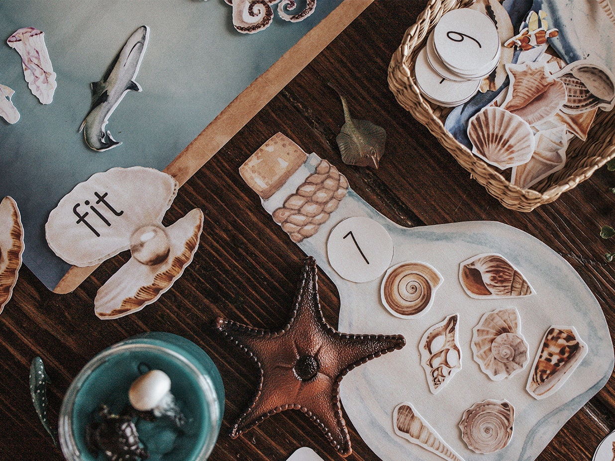 Oceanography Morning Basket Activities, Homeschool Resources, Morning ...