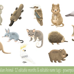 AUSTRALIAN ANIMAL Birthday Display | Birthday Chart | Australian ...