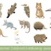 AUSTRALIAN ANIMAL Birthday Display | Birthday Chart | Australian ...