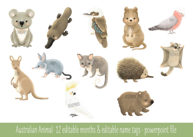 AUSTRALIAN ANIMAL Birthday Display Birthday Chart - Etsy