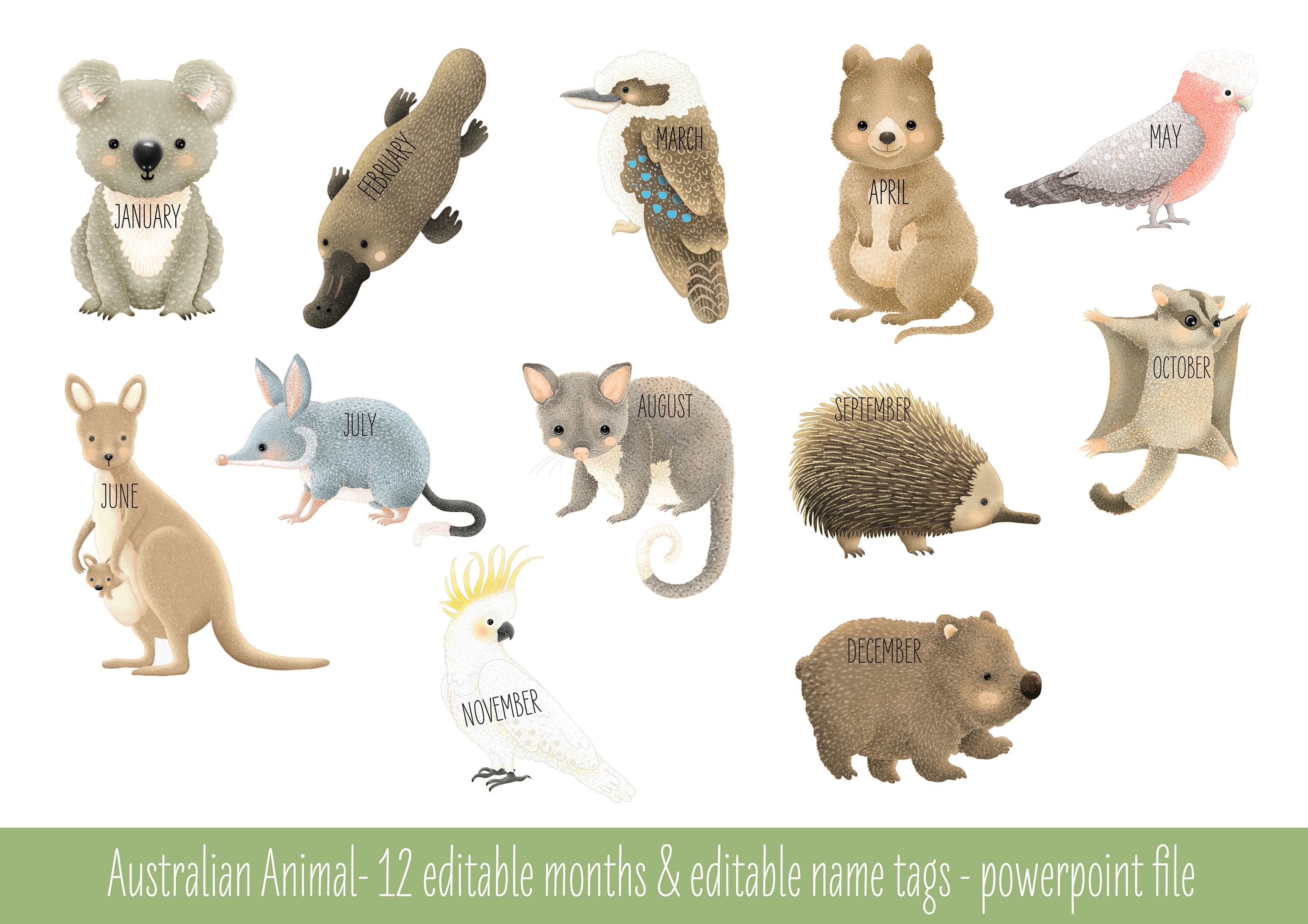 AUSTRALIAN ANIMAL Birthday Display Birthday Chart - Etsy Australia