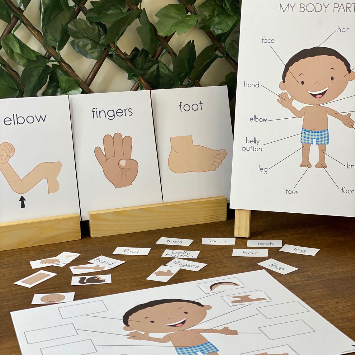 My Body Flash Cards Boy and Girl Body Parts School | Etsy