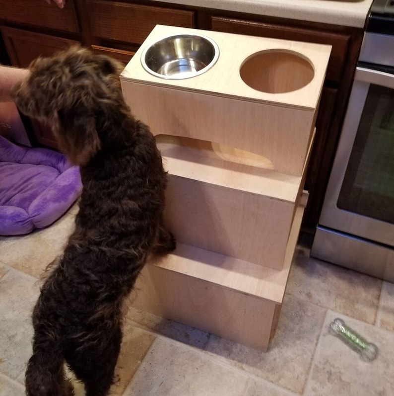 Elevated Feeding Table for Dogs, Can Make for Cats Too. - Etsy
