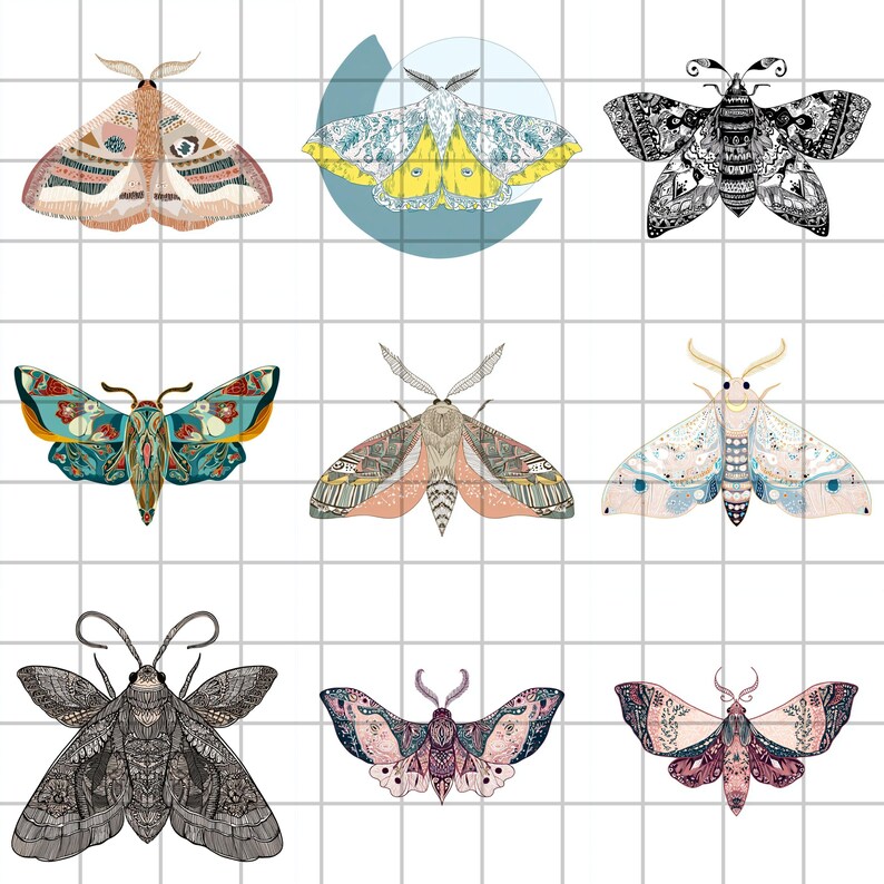 Bohemian Moth Clipart Bundle – 50 PNG Files | Boho Insect Graphics for ...