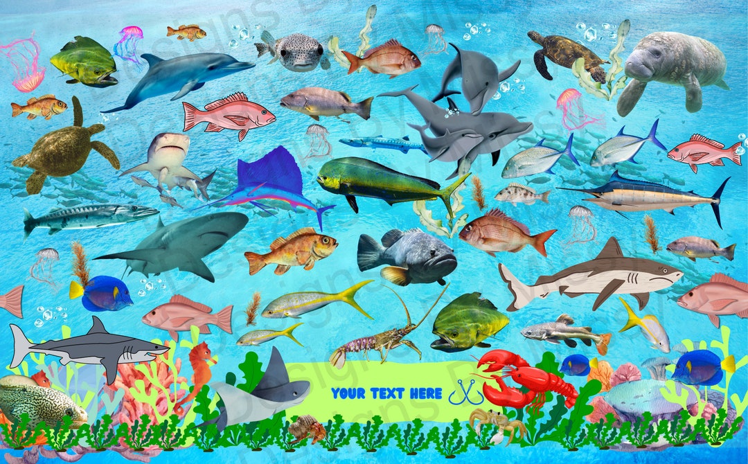 Florida Fish 12oz Flip Top Sippy Tumbler Florida Saltwater Fish ...